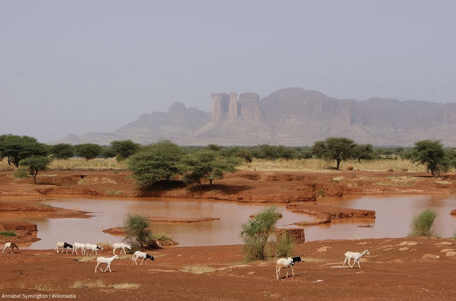 The Restoration of Sahelian Landscapes - OneNature