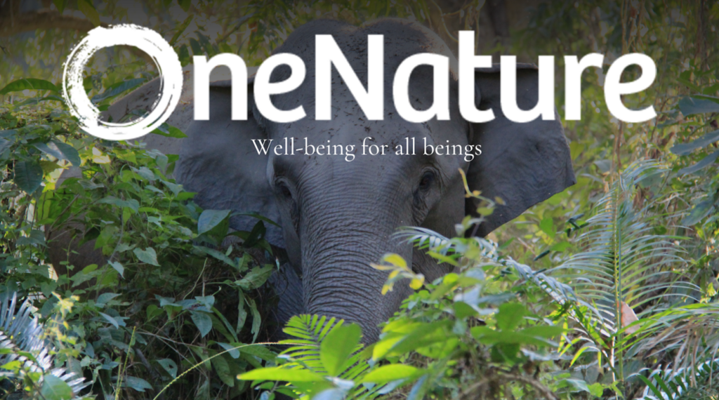 Discover the Impact of OneNature - OneNature