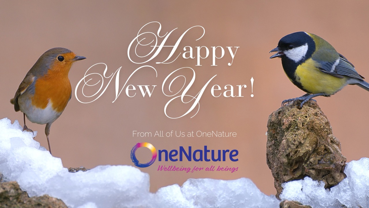 Wishing You a Joyful and Connected New Year! 🎉 - OneNature