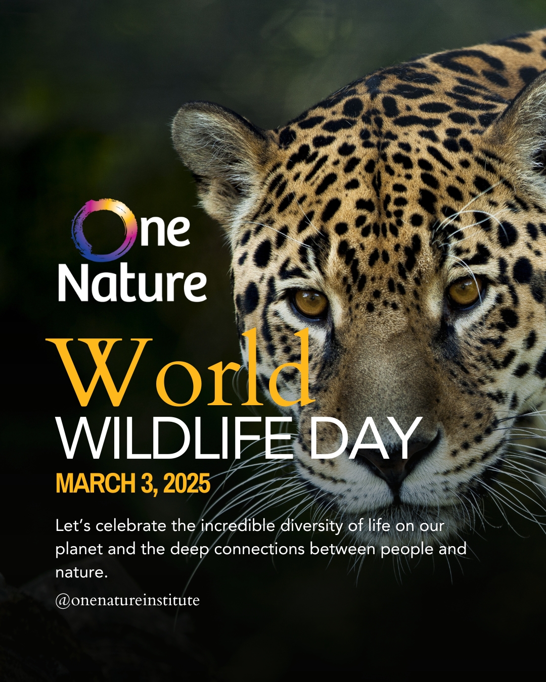 Celebrating World Wildlife Day with OneNature - OneNature